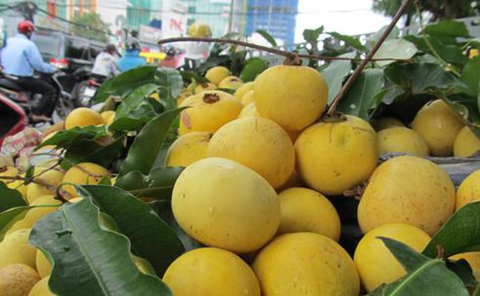 Quả Thị Sạch - Chợ Sạch Sài Gòn